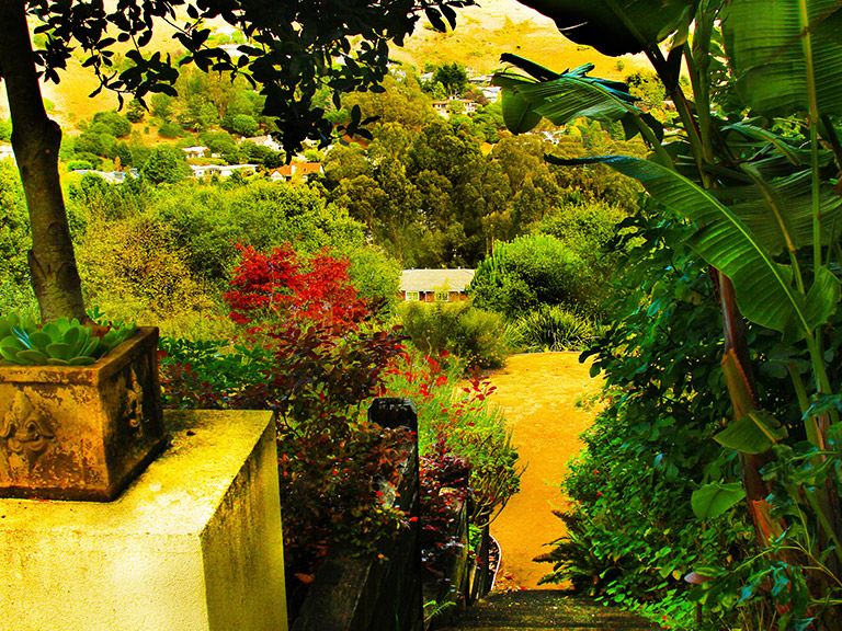 Using Small Spaces - Lynne Steinsieck -- Landscape Designer
